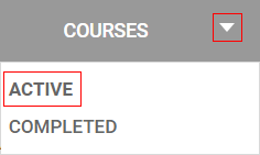 Online Training Support